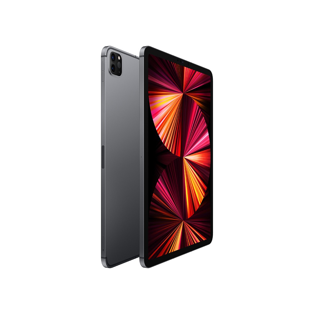 iPad Pro 11 inch Wi-Fi + Cellular 2TB Space Gray 2021 (3rd Gen) | Education Studio7