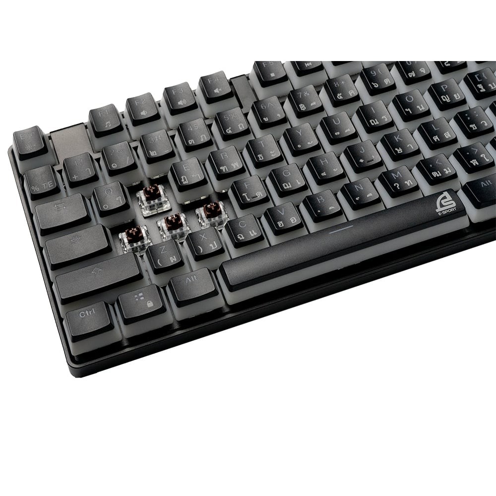 คีย์บอร์ดเกมมิ่ง SIGNO E-Sport RGB Mechanical MAXXINE Black (KB-731BLK ...