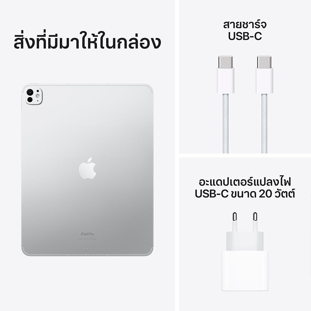 iPad Pro 13-inch Wi-Fi + Cellular 1TB with Standard glass - Silver (7th ...
